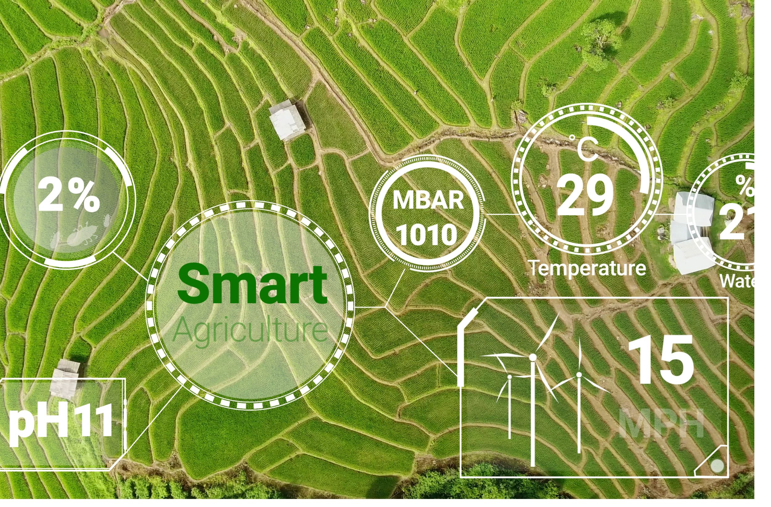 La Digitalización En El Sector Agroalimentario Una Oportunidad Para La